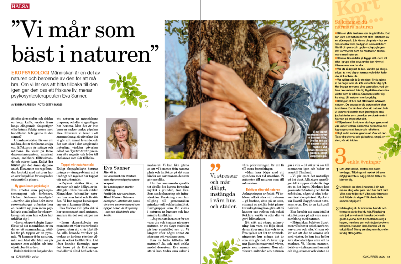 Pedagogisk planering i Skolbanken: Reportage kapitel 6