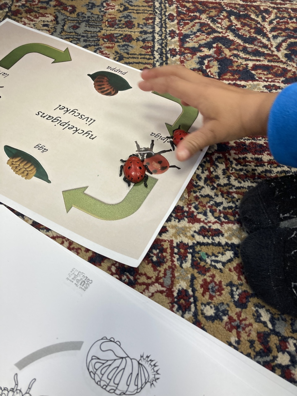Pedagogisk Planering I Skolbanken Barns Röster I Ett Hållbart Farsta