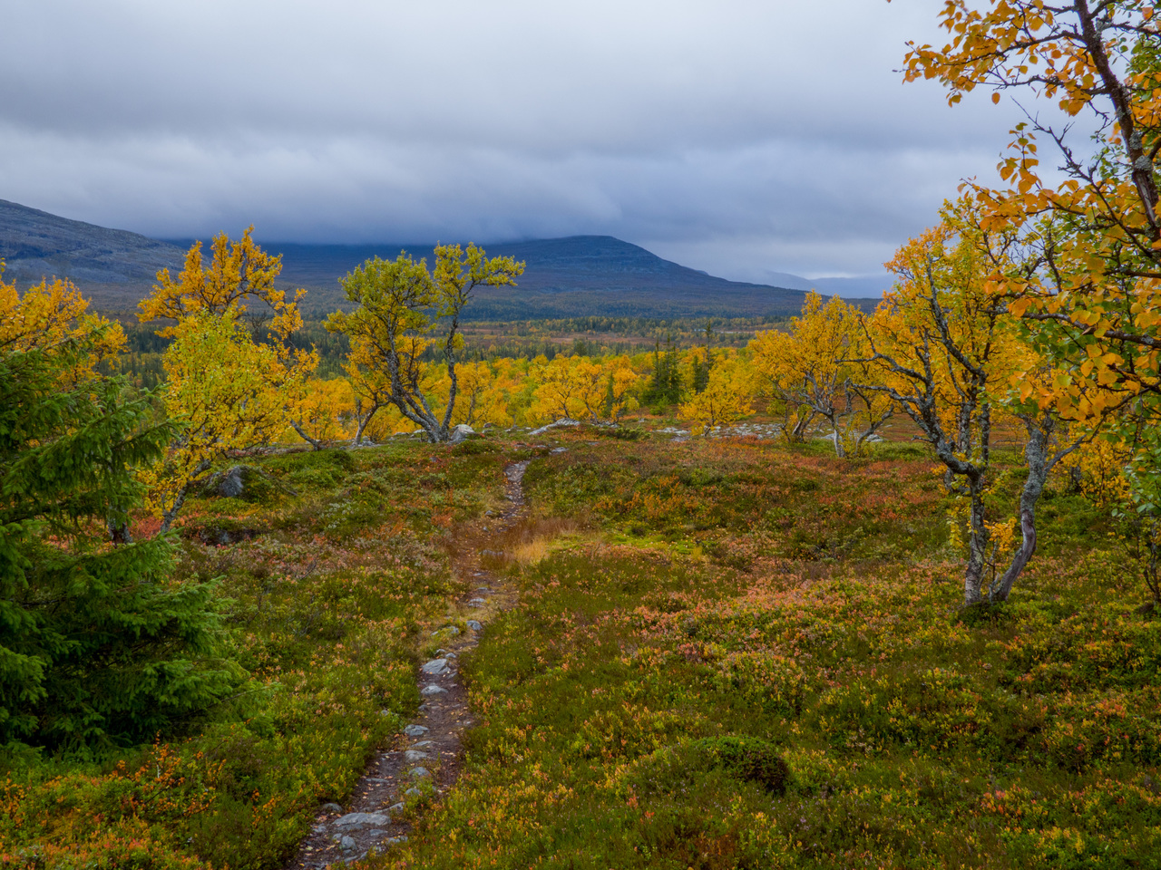Skolbanken · Svenska 7C vecka 34-43