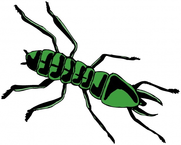 Skolbanken · Bild åk 7 - Skulptur-Insekt - v. 40 - 47