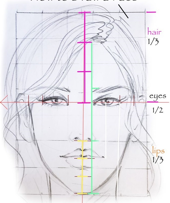 Skolbanken · Bild Ansiktets proportioner åk 7