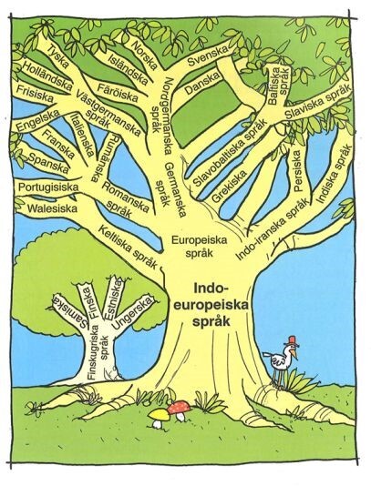 Skolbanken · Nordiska språk