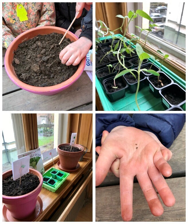 Skolbanken · Harens Projektsammanfattning/Avslut vt-21