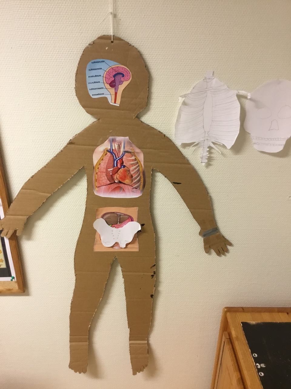 Skolbanken · Kroppen