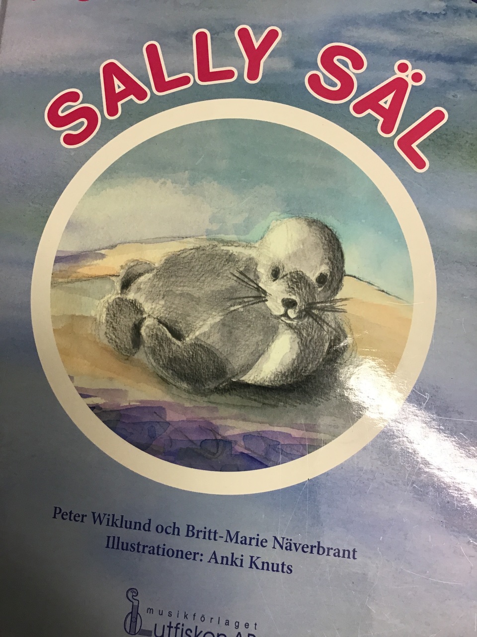 Skolbanken · Sally Säl