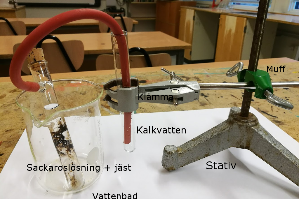Skolbanken · Laborationer i NO