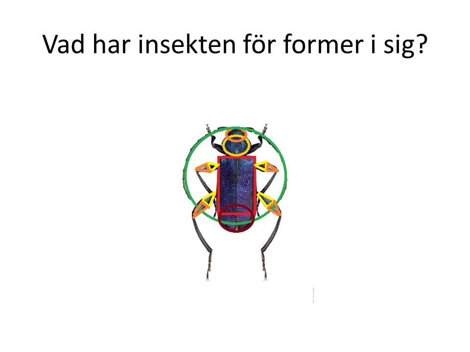 Skolbanken · Blyerts stompf och sudd!
