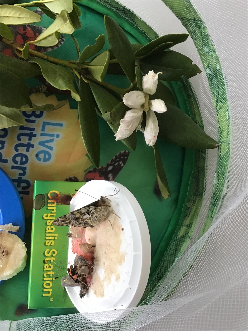 Pedagogisk Planering I Skolbanken Naturvetenskap