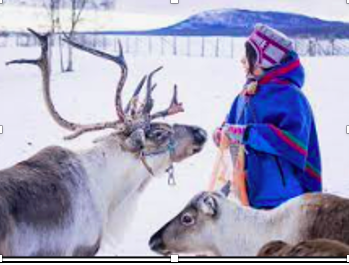 Skolbanken · Samer - år 4 vecka 49 och 50