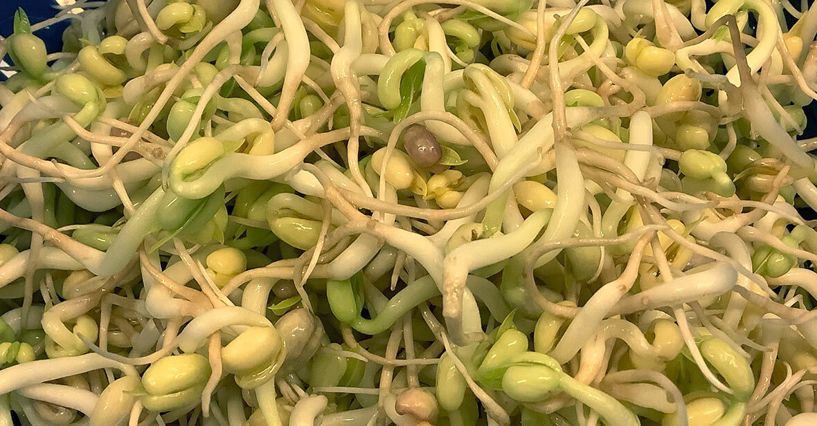 Skolbanken · Lundens Odlingsprojekt