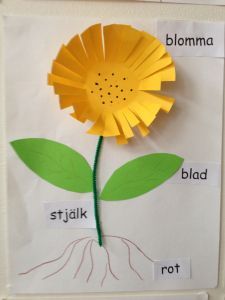 Skolbanken · Vår och vårblommor